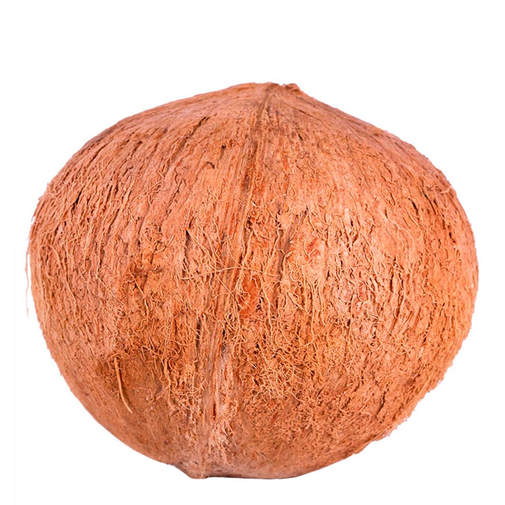 Coco Seco Orgânico Unidade - Hortifruti