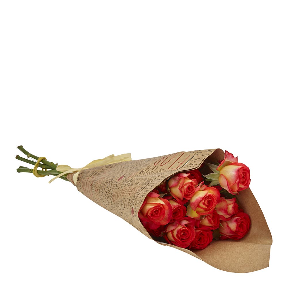 Maço De Rosa Estufa Bicolor - Natural da Terra