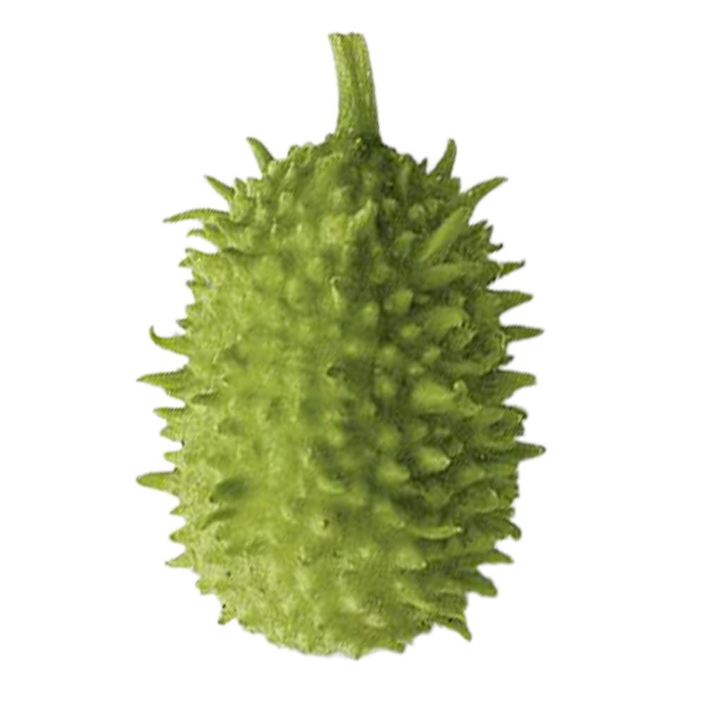 MAXIXE ORG KG - Hortifruti