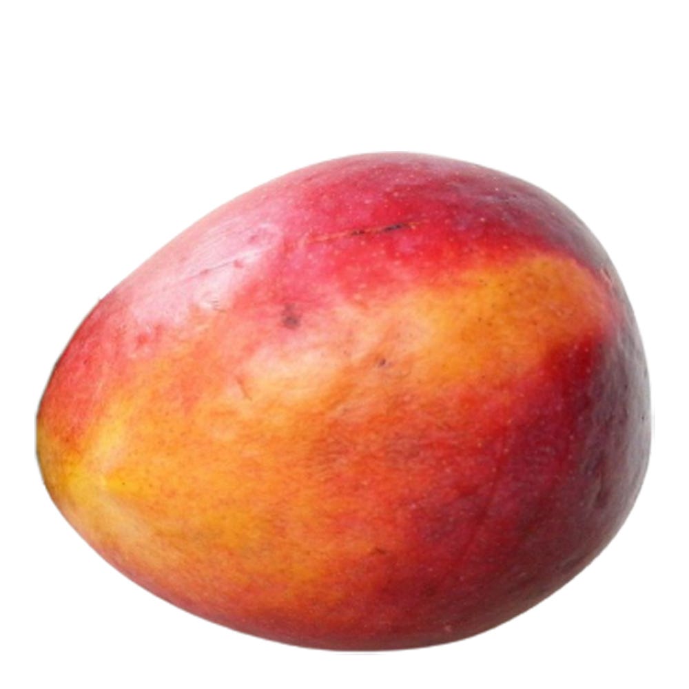 MANGA KENT - Hortifruti